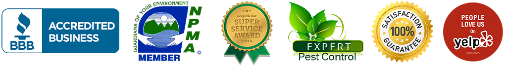 Pest Control in Connecticut